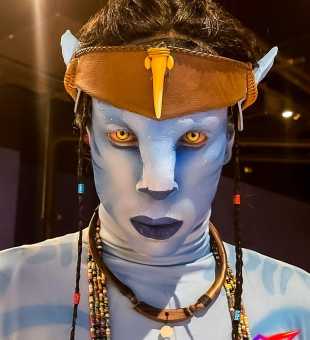 Avatar | Personagens do filme Avatar para festas, aniversários e eventos